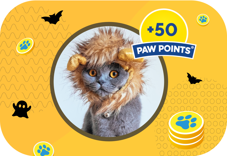 Special Offers | Paw Points®